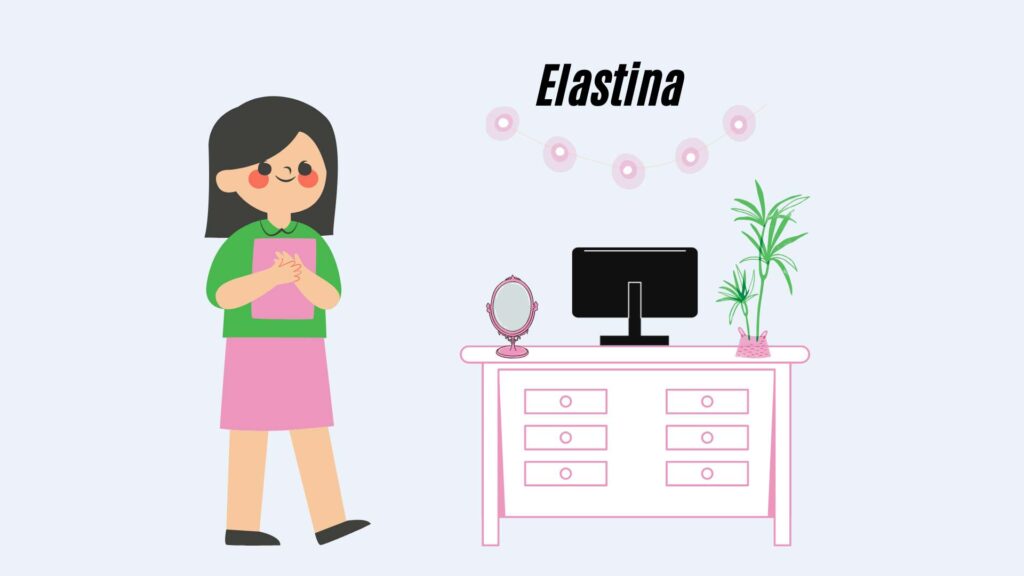 Elastina: qué es, beneficios y cómo estimularla